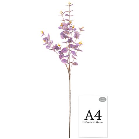 Eucalyptus Stem Purple Eleganzafloral
