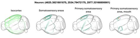 Common Coordinate Framework — Swdb 2024 Data Book