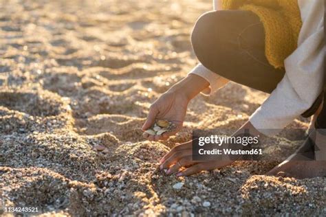 Collecting Sea Shells Photos And Premium High Res Pictures Getty Images