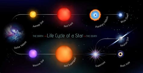 Red Supergiant Star Life Cycle 1142 Life Cycle Star Images Stock