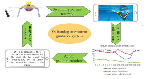 Experimental System Setup Download Scientific Diagram