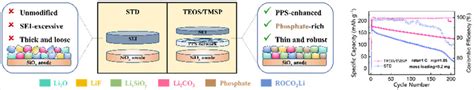 Ion‐conductive Polyphosphasiloxane Networks Constructing Robust Solid