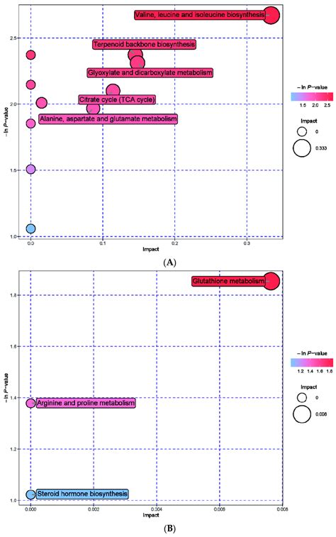 Pathway Analysis Of Urine Metabolomics A Pathway Analysis Of Mhb