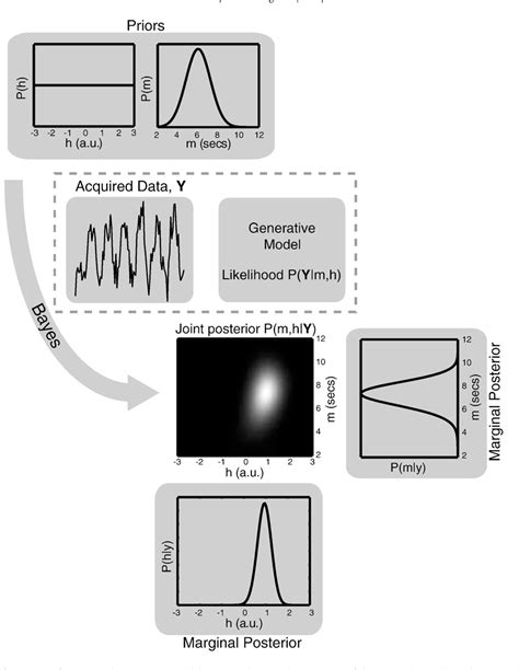 Structure Of Subthalamic Nucleus Semantic Scholar