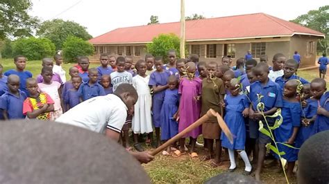 Uganda Environmental Conservationists Organization On Linkedin Ugandas Forests Contain 109