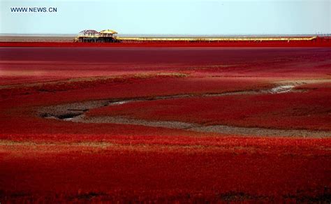 Tourists Visit Red Beach In Liaoning