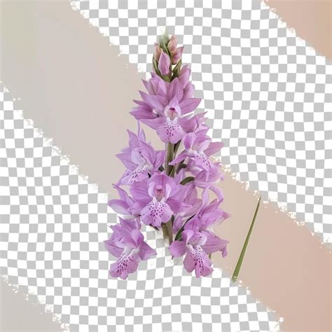 Premium Psd A Purple Flower Is Shown On A White Background