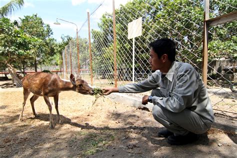 Tbbm Pertamina Rash Antara Foto