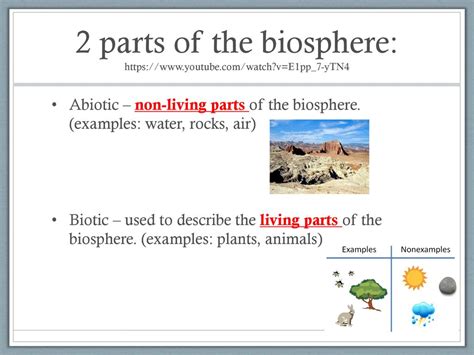 Biosphere Non Examples