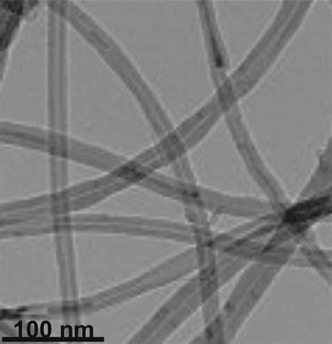 Transmission Electron Microscope Micrograph Of Dna Nanotubes The