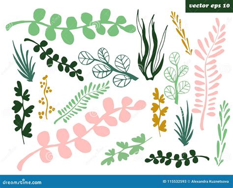 Grass And Branches Set Stock Illustration Illustration Of Design