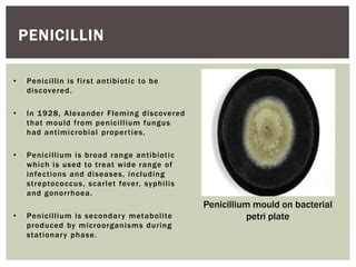 Production Of Antibiotics Pptx