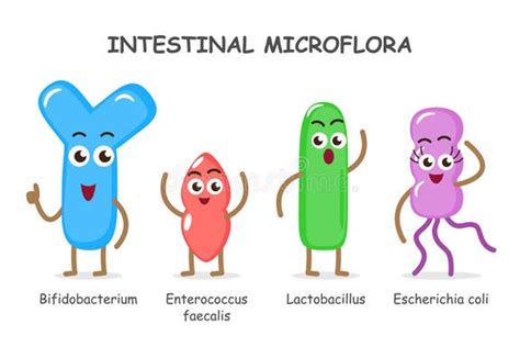 Intestinal Microflora Collection Of Cute Medical Microbiome Cartoon