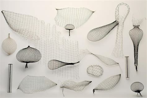 Premium Vector Sea Shells Collection