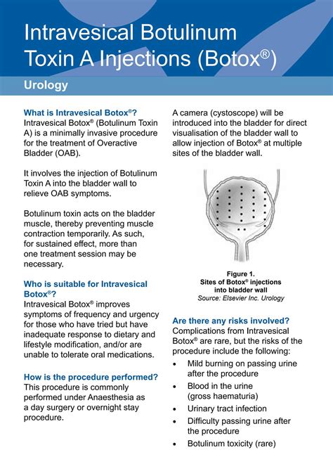 Intravesical Botulinum Toxin A Injections Botox® By Ktphych Issuu