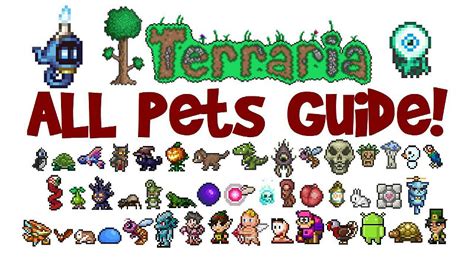 Terraria Pets Guide And Where To Find Them