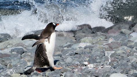 Torvalds Rust Im Kernel Soll Mit Linux 61 Erscheinen Golemde