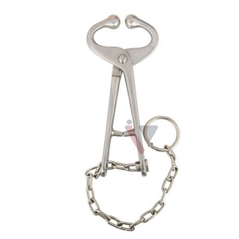 Bull Nose Ring Stainless Steel Piercing Tool Vetaxa Industries