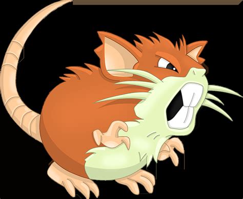 Pokemon 2020 Shiny Raticate Pokedex Evolution Moves Location Stats