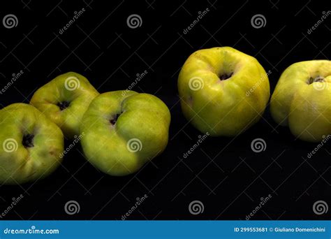 Quince Splendor Radiant Quinces Illuminating The Enigmatic Black