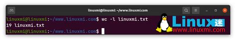 如何在 Linux 中使用 Wc 命令 Linux迷