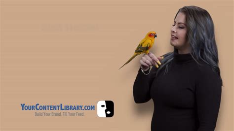 Gary Steele Posted On Linkedin