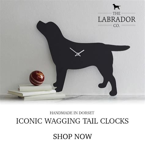 Black Cat Swinging Wall Clock Cat Clock Cat Clock With Moving Tail T For Black Cat Lovers