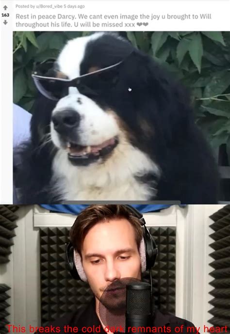 Rip Darcy We All Loved You R Willne