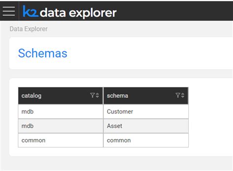 Data Editor Overview K2view Support