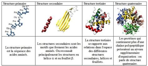 Analyse De La Structure Proteique Prof Alain Astier Honoray Head Of