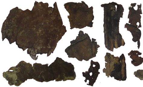 Ancient Scythians Made Leather From Human Skin Findings Reveal