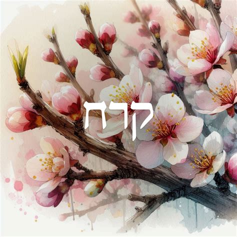 Parshat Korach Covenant And Conversation The Rabbi Sacks Legacy