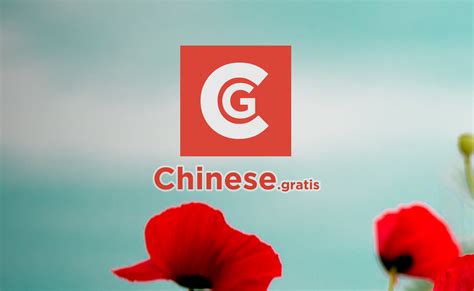 Passport In Chinese Online Translation Chinese Gratis