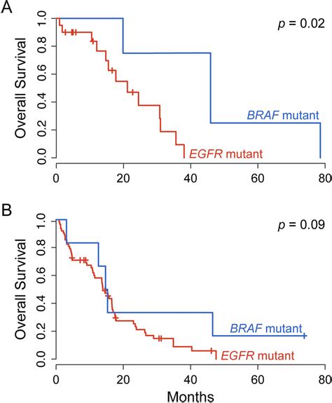 The Impact Of Braf Versus Egfr Mutations On Overall Survival In Download Scientific Diagram