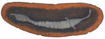 Tully Monster Fossil Nodule Sculpture Mazon Creek 152074929