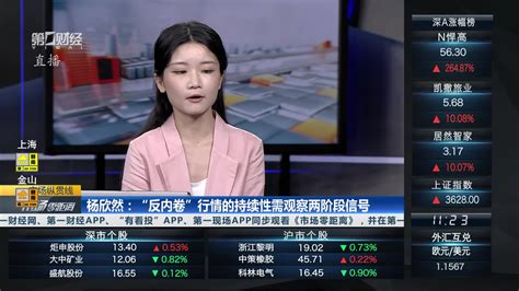 杨欣然： 反内卷”政策核心逻辑是改善供需格局 提升企业盈利中枢｜市场纵贯线