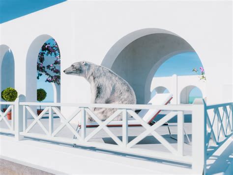 Understanding The Purpose Of Elif In Python A Complete Guide