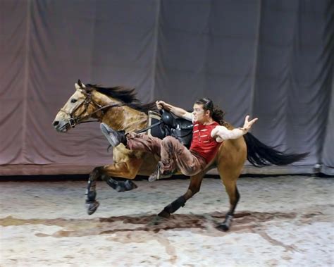 Review Cavalia
