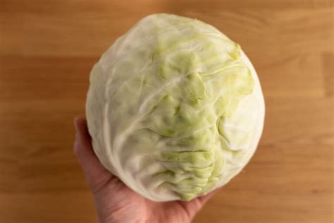 How Long Does Cabbage Last And How To Tell If Its Bad Does It Go Bad