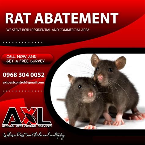 Rat Abatement Pest Control At 250000 From Pasay City Lookingfour Buy And Sell Online