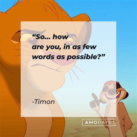 35 Timon Quotes On His Laidback Views Complete With Some Wisecracks