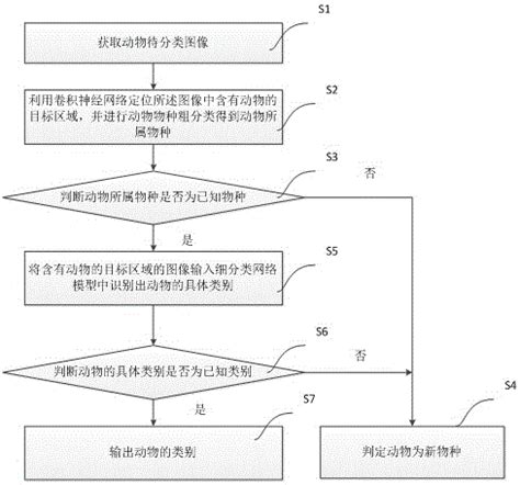 一种基于图像的动物物种细分类方法系统及介质与流程