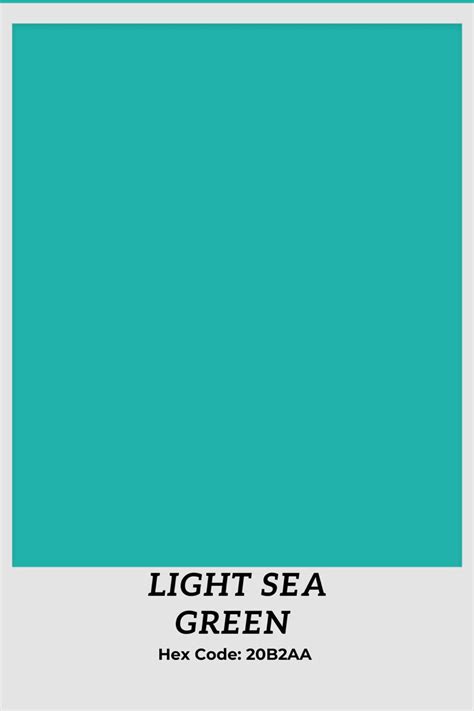Light Sea Green Color Scheme With Hex Code 2082a