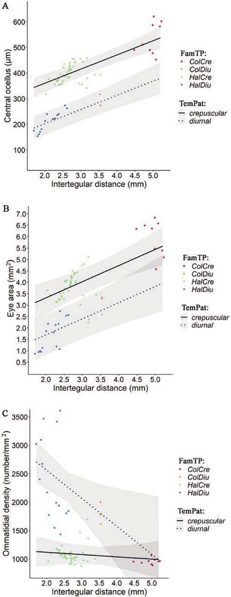 Correlation Between Body Size Temporal Patterns And The Diameter Of Download Scientific
