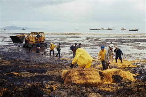 How A California Disaster Inspired The First Earth Day The New York Times