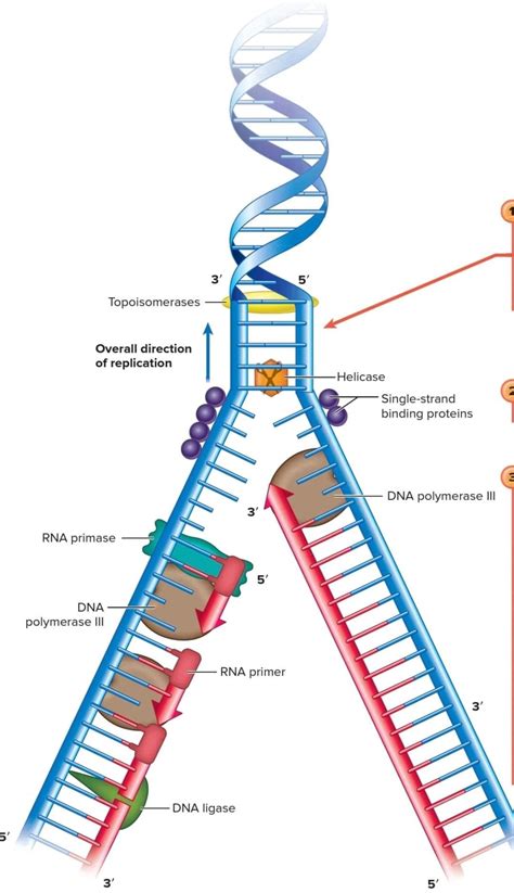Saniya Mulani Posted On Linkedin
