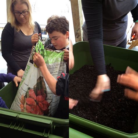 Mrs Cameron 2014 Hungry Bin A Continuous Flow Worm Farm