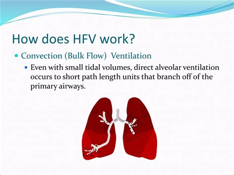 High Frequency Ventilationppt
