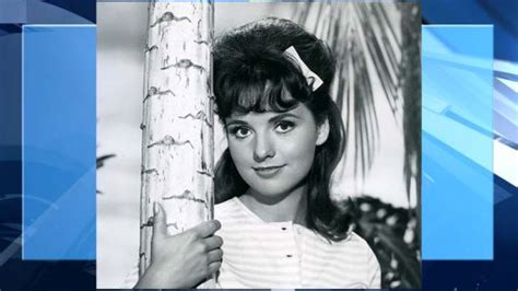 Dawn Wells Dies At 82 Miss Nevada And ‘gilligans Island Fame Klas