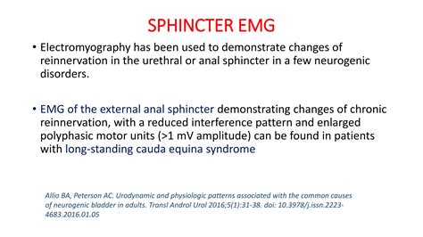 Neurogenic Bladderpptx